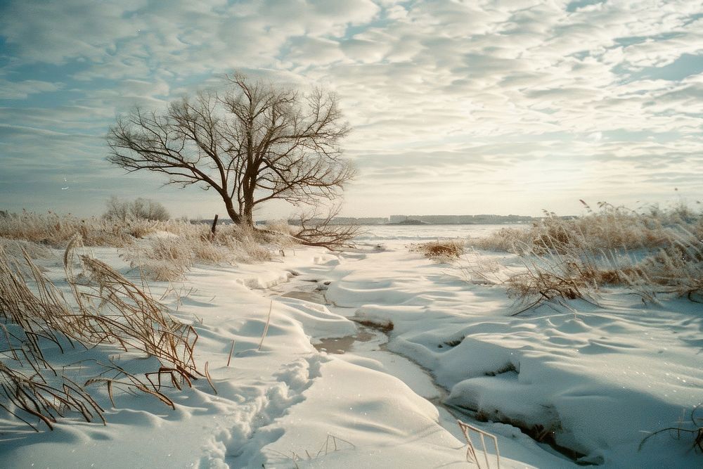 Siberia landscape winter outdoors scenery | Free Photo - rawpixel