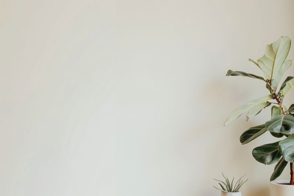 Condo wall architecture building. | Premium Photo - rawpixel