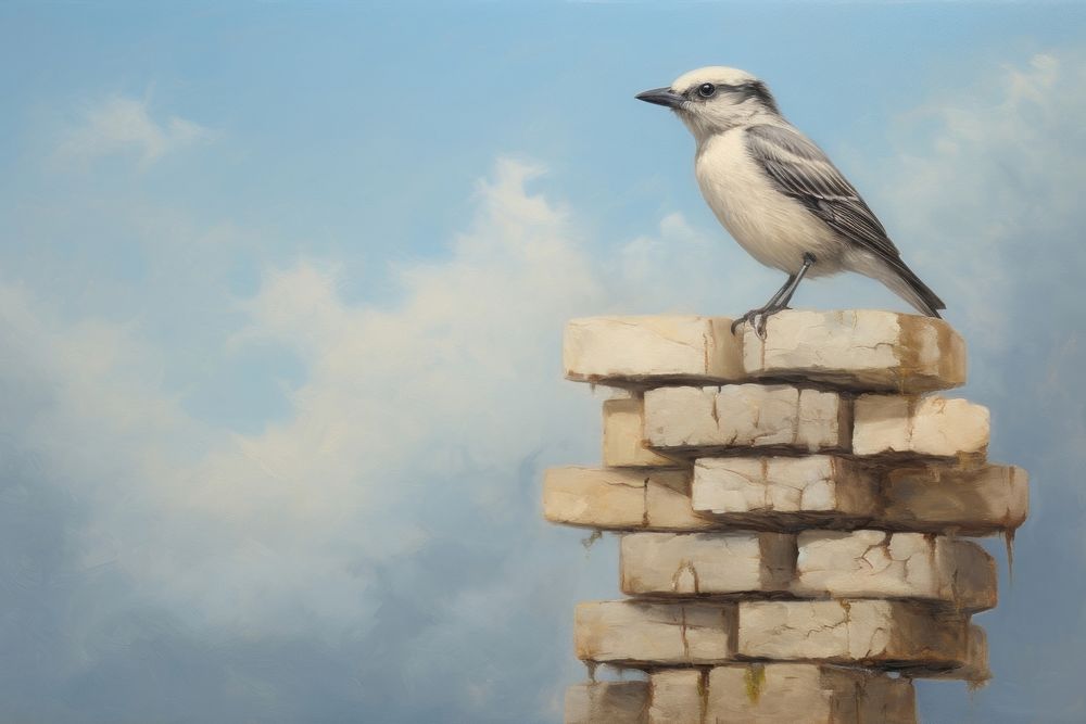 Close pale stack bird flying | Free Photo Illustration - rawpixel