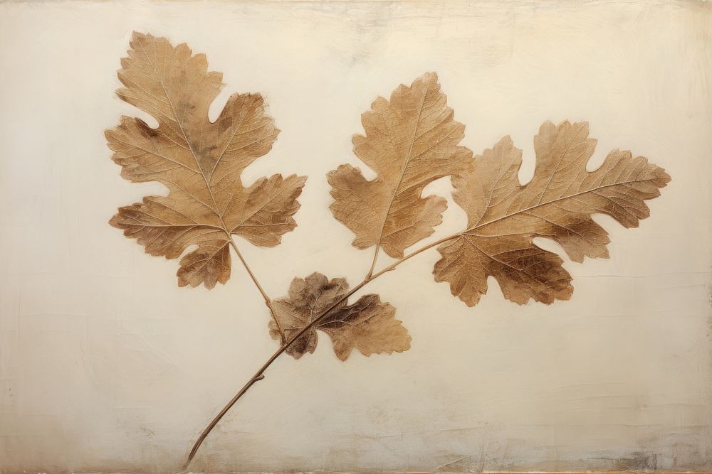 Close pale leaf painting plant | Premium Photo Illustration - rawpixel