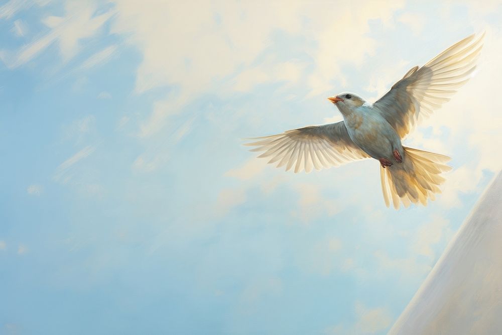 Close pale bird flying animal | Premium Photo Illustration - rawpixel