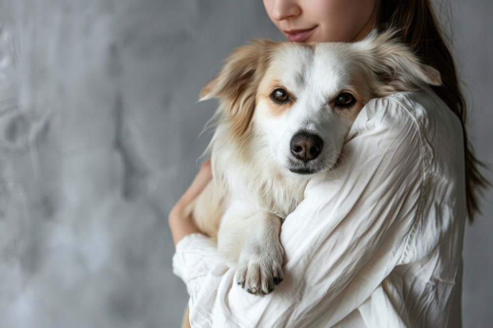 Person hugging dog mammal animal | Premium Photo - rawpixel