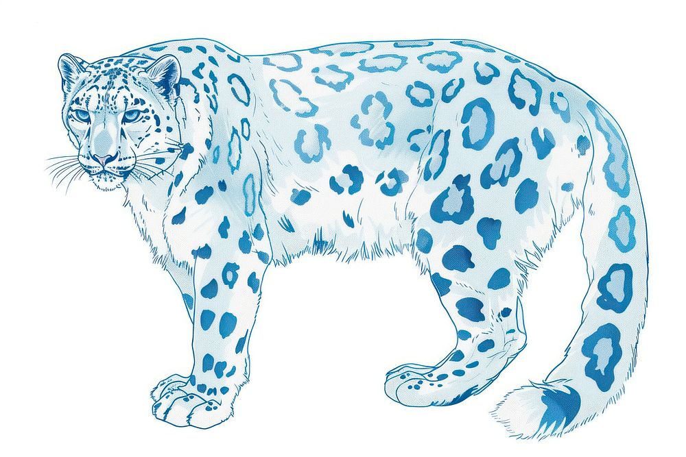 Snow leopard illustration wildlife panther | Free Photo Illustration ...