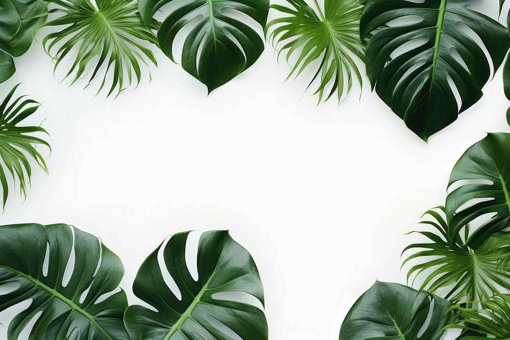 Monstera leaves border green vegetation | Free Photo - rawpixel