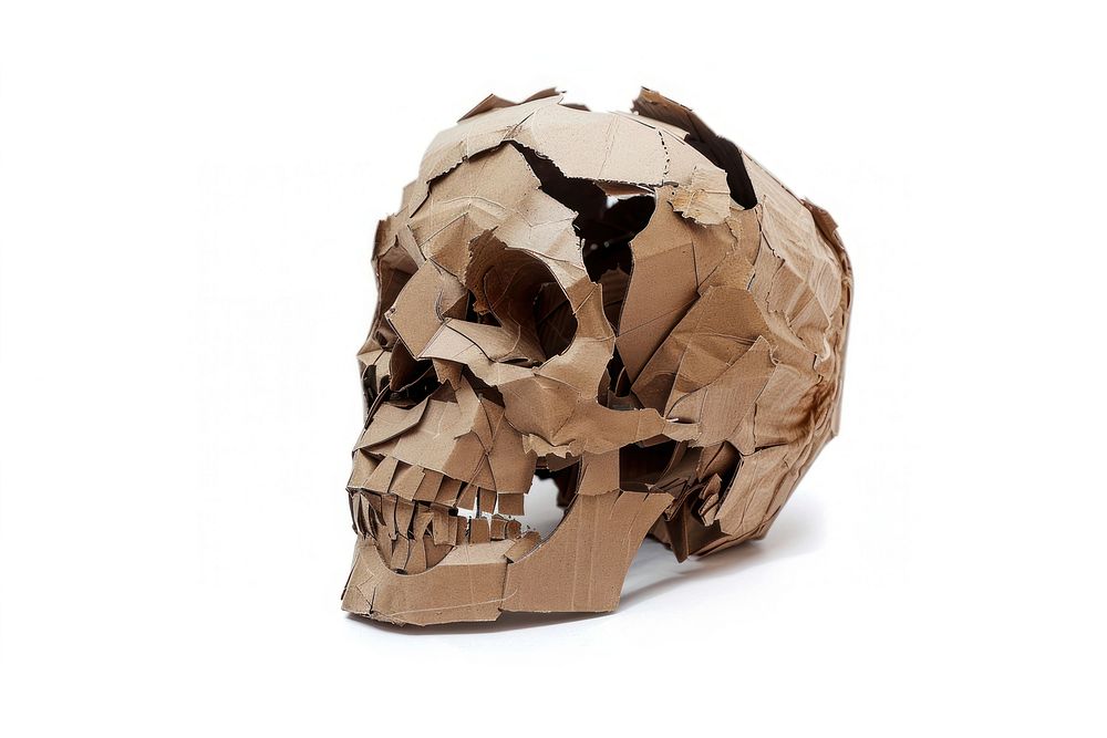Skull cardboard paper clothing. | Free Photo - rawpixel