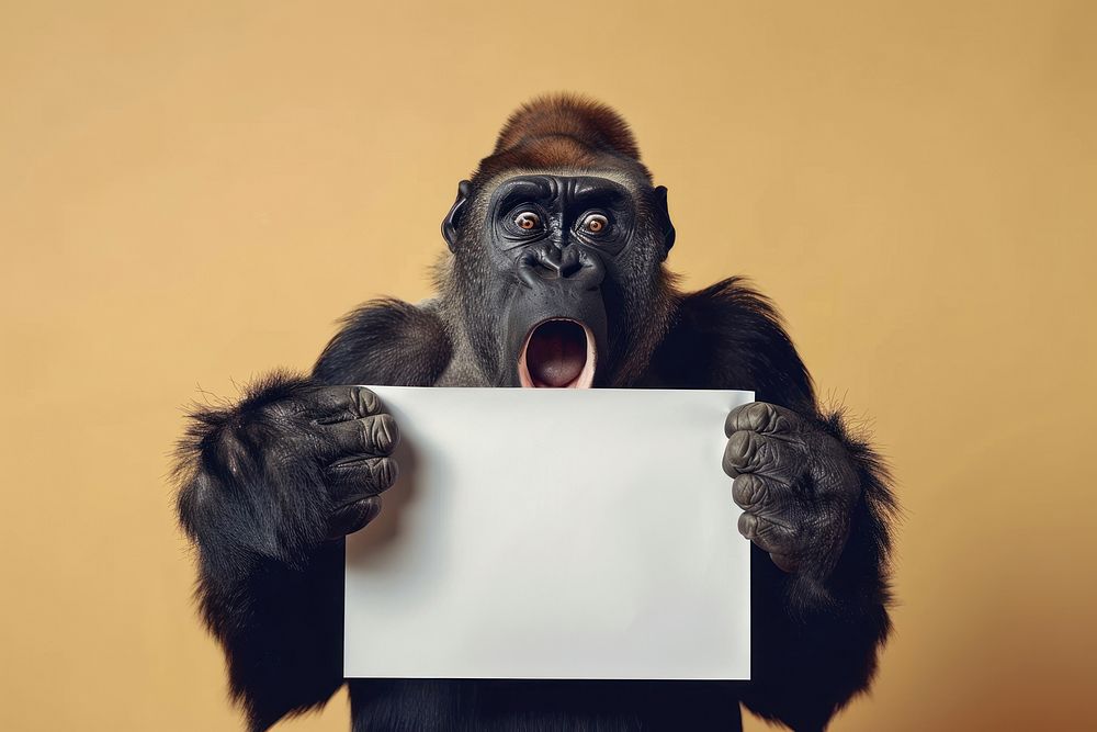 Photo shocked gorilla wildlife face | Free Photo - rawpixel