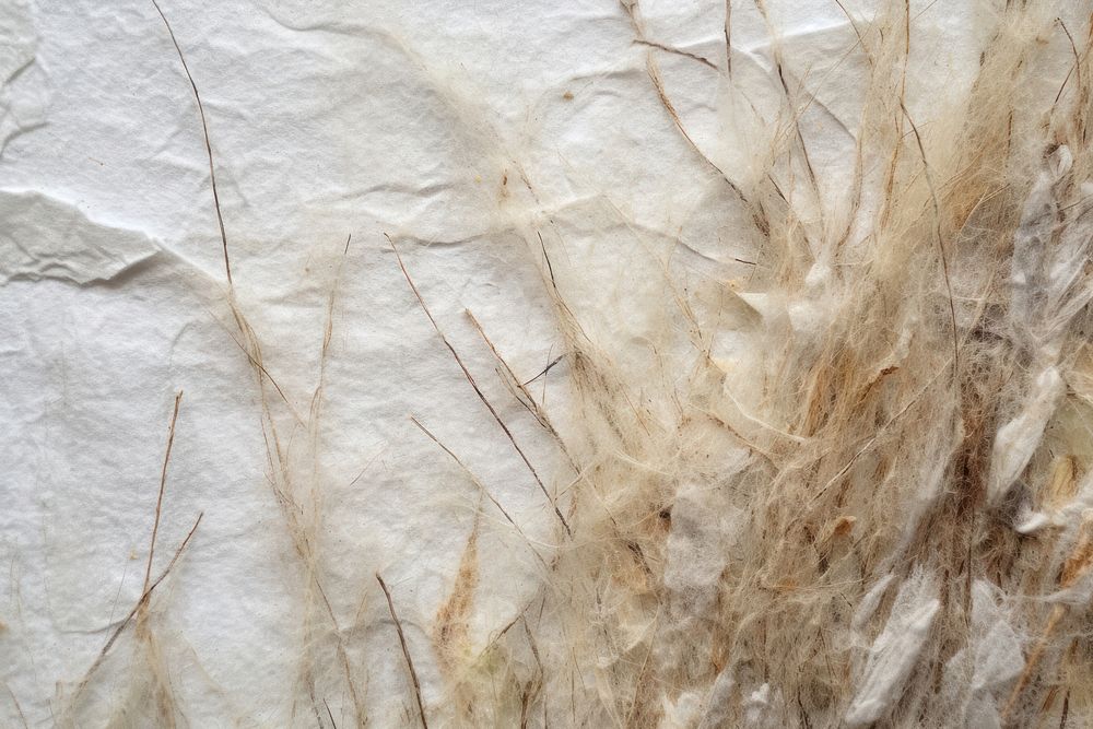 Plant fibre mulberry paper texture | Free Photo - rawpixel