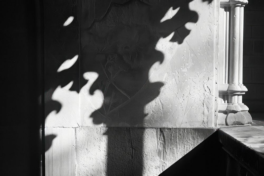 Shadow architecture wall building | Free Photo - rawpixel