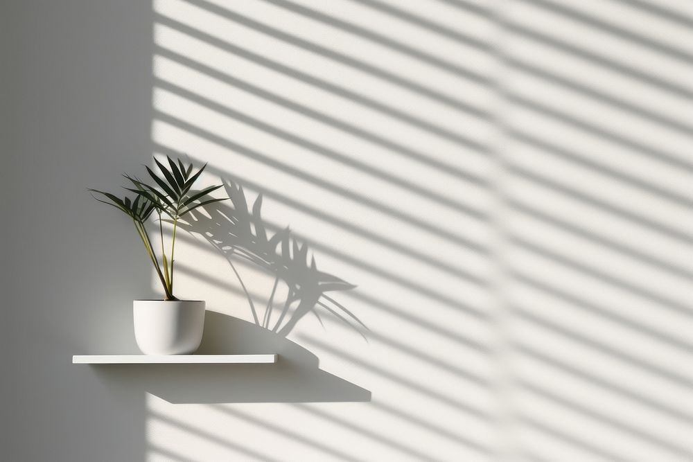 Shadow window wall architecture windowsill | Free Photo - rawpixel