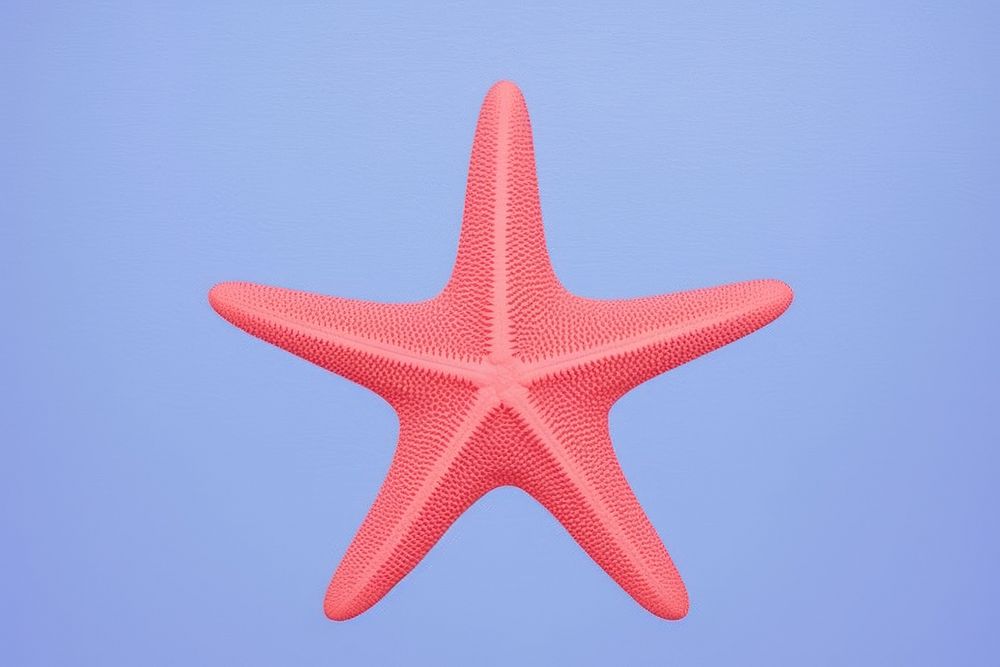Starfish shape transportation invertebrate. | Premium Photo ...