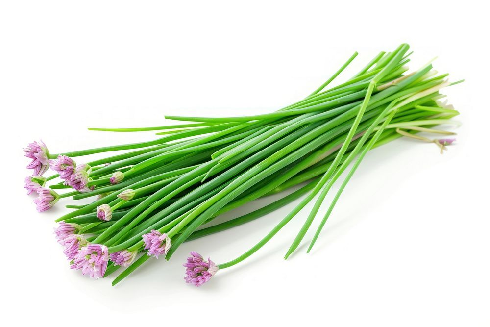 Chives vegetable flower plant. | Premium Photo - rawpixel