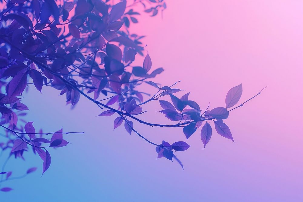 Illustration tree branch purple backgrounds | Premium Photo ...