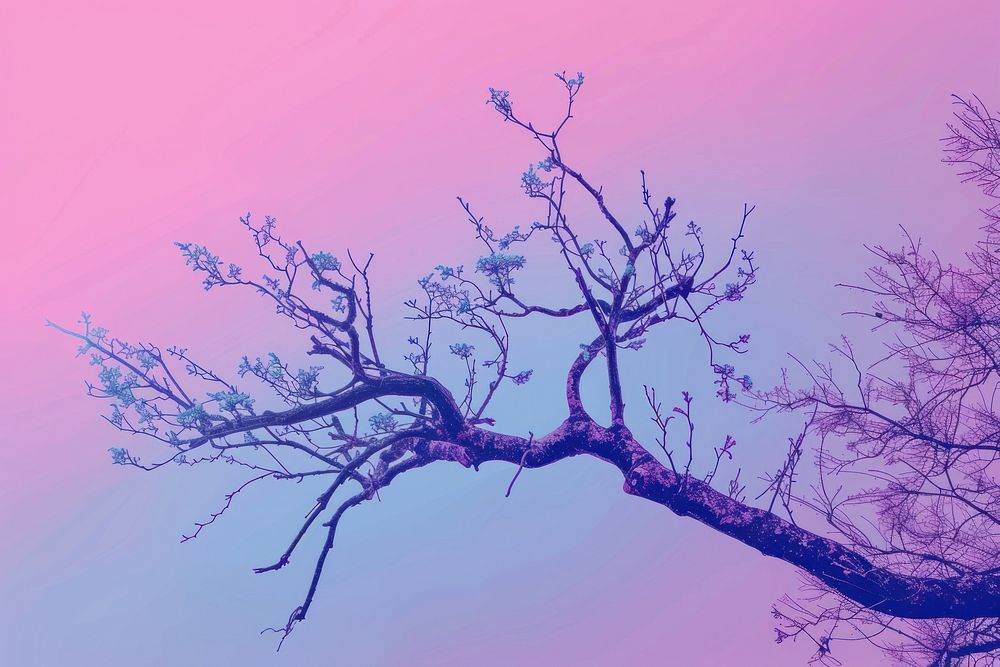 Illustration tree branch purple outdoors | Premium Photo Illustration ...