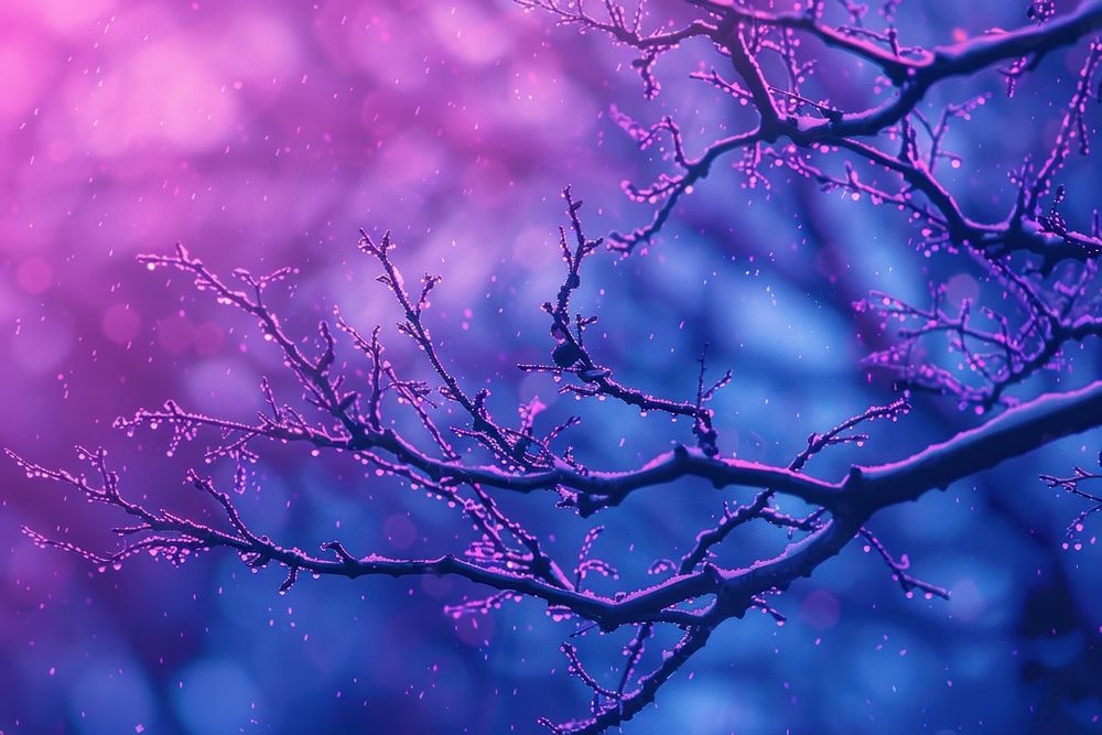 Illustration tree branch purple blue | Free Photo Illustration - rawpixel