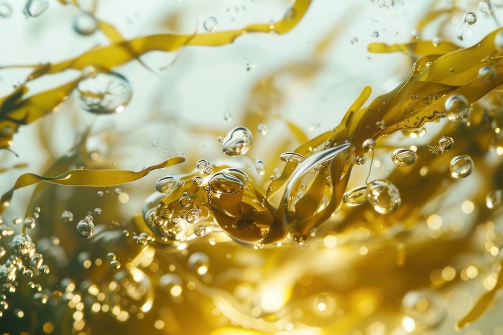 Ocean seaweed oil bubble | Free Photo - rawpixel