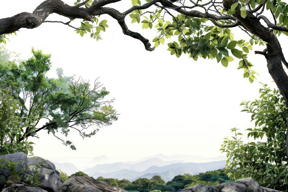 Landscape trees mountains landscape vegetation | Free Photo - rawpixel