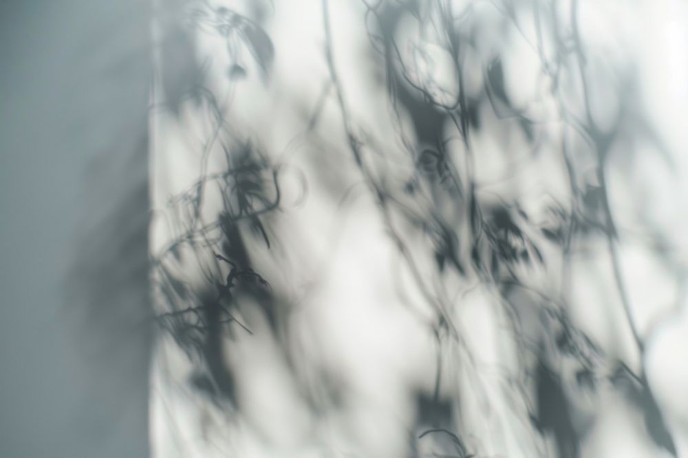 Abstract blurred gothic shadow vegetation | Free Photo - rawpixel