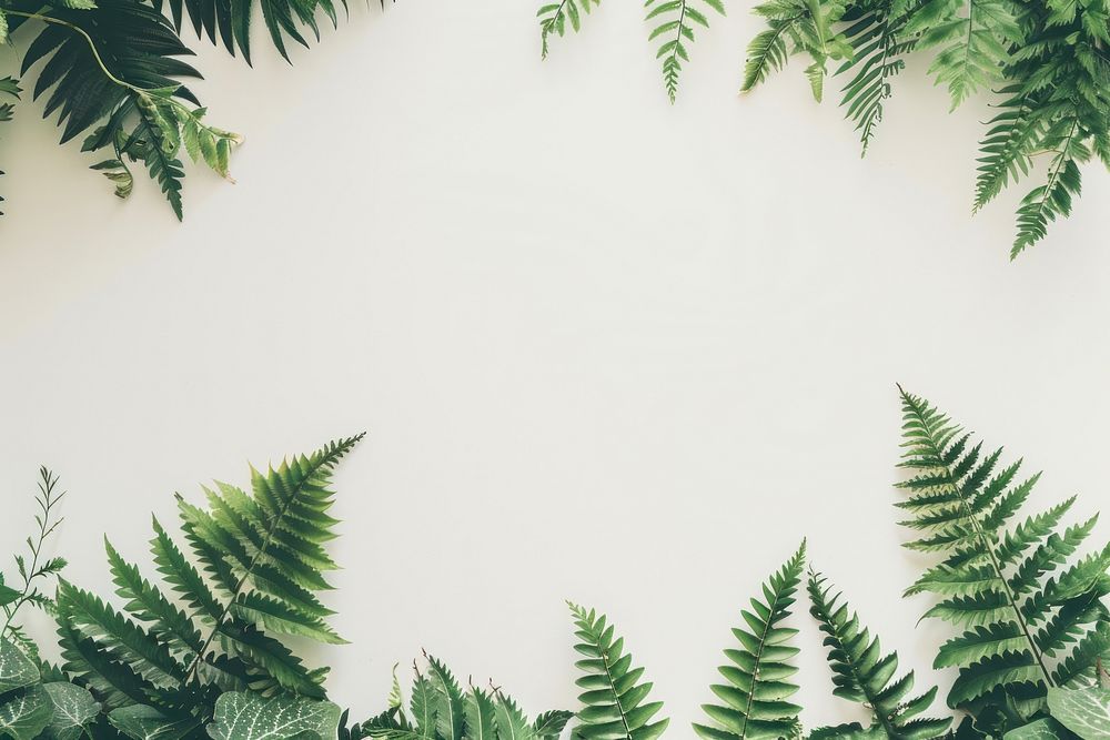 Fern full frame plant leaf | Premium Photo - rawpixel