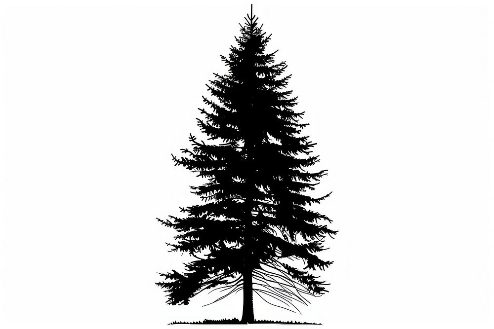 Pine tree silhouette clip art | Free Photo Illustration - rawpixel