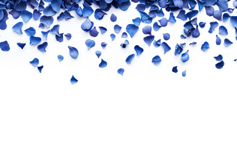 Blue petals confetti border blossom | Free Photo - rawpixel