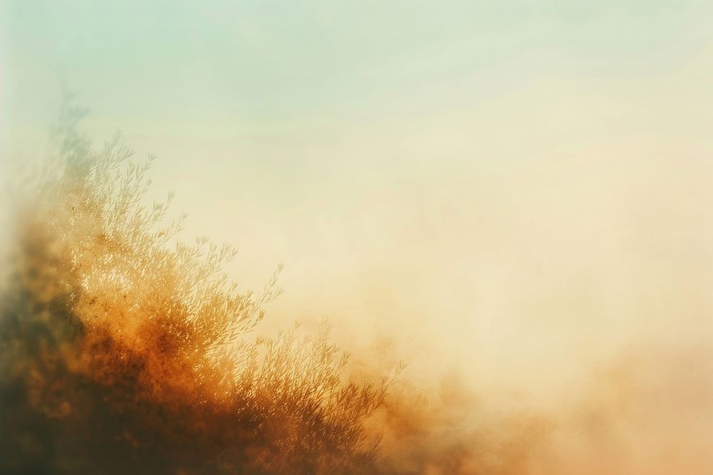 Tree outdoors weather scenery. | Free Photo - rawpixel