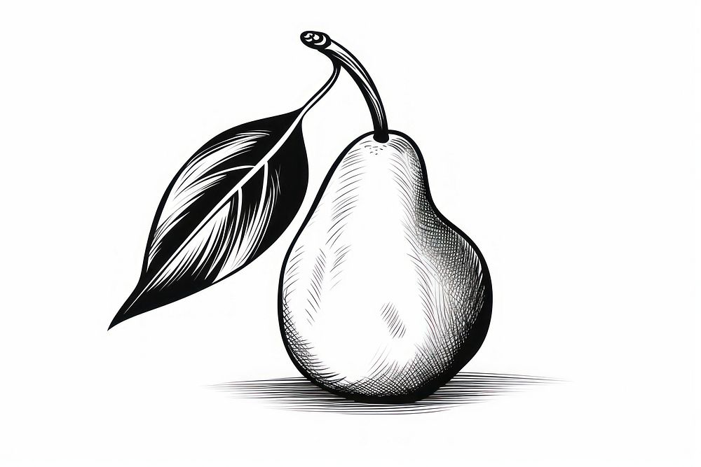 Pear illustrated produce drawing. | Free Photo Illustration - rawpixel