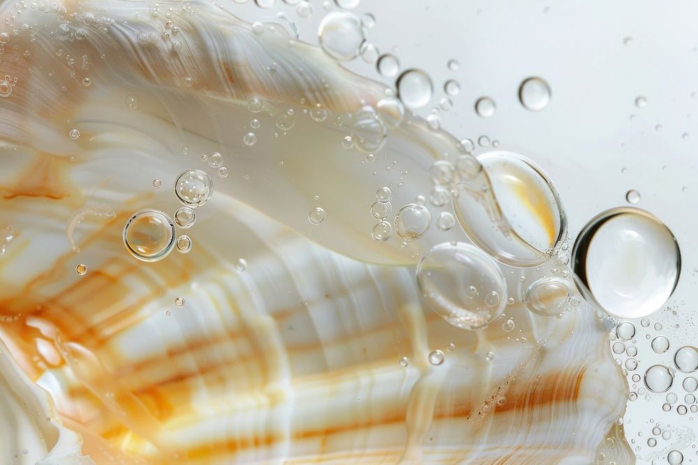 Sea shell oil bubble invertebrate | Free Photo - rawpixel