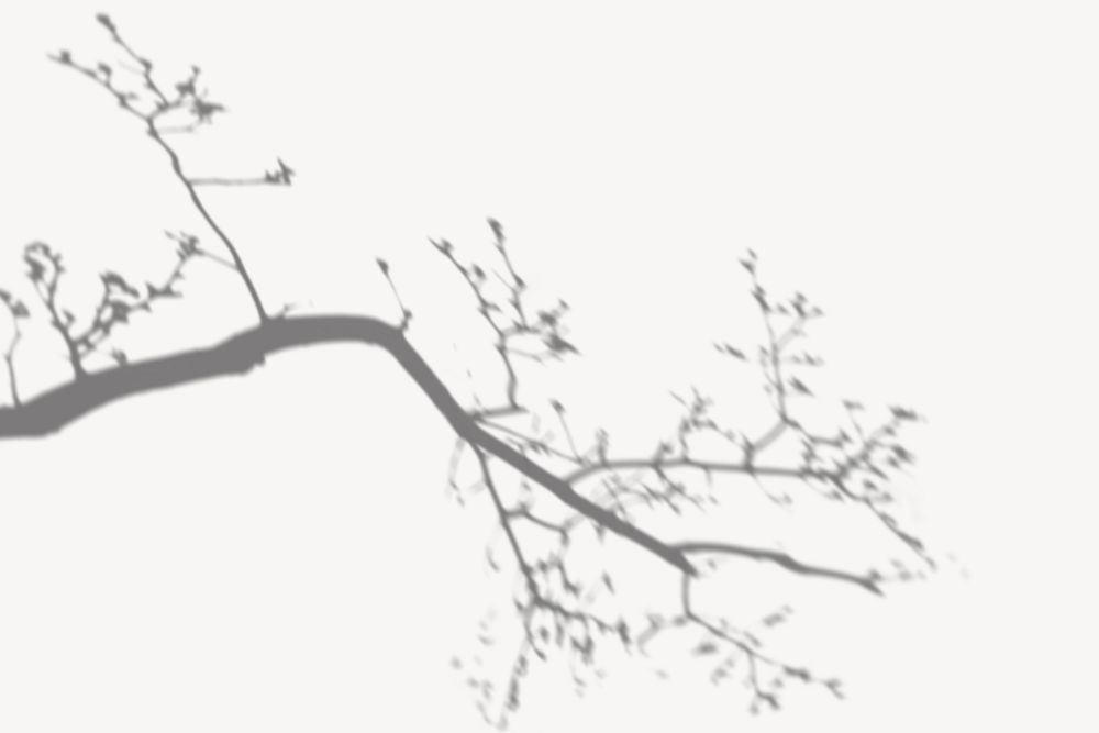 Tree branch shadow illustration | Free Photo - rawpixel