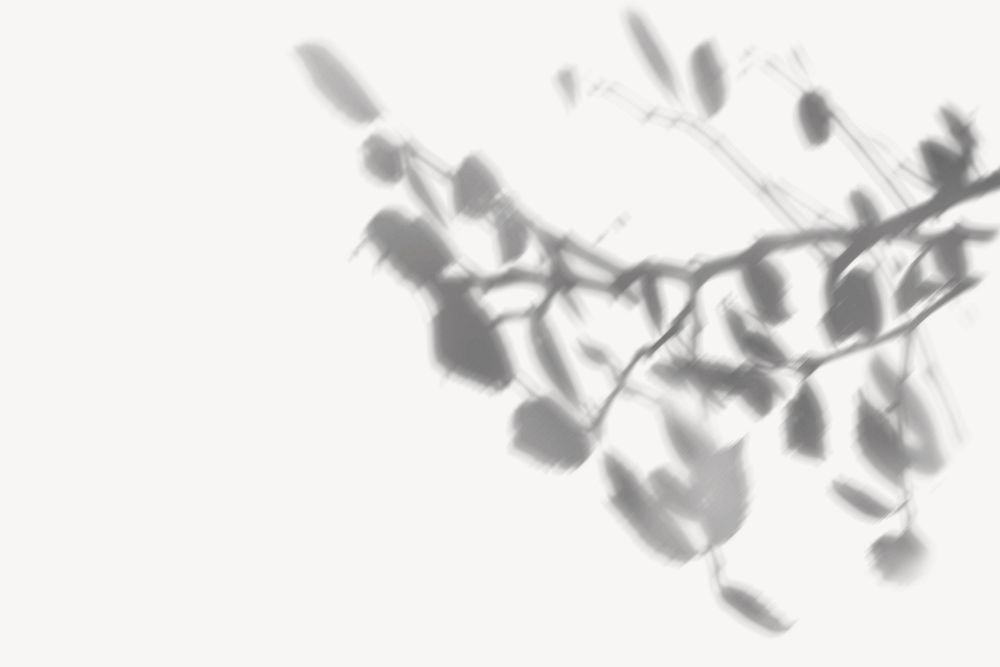 Tree branch shadow illustration | Free Photo - rawpixel