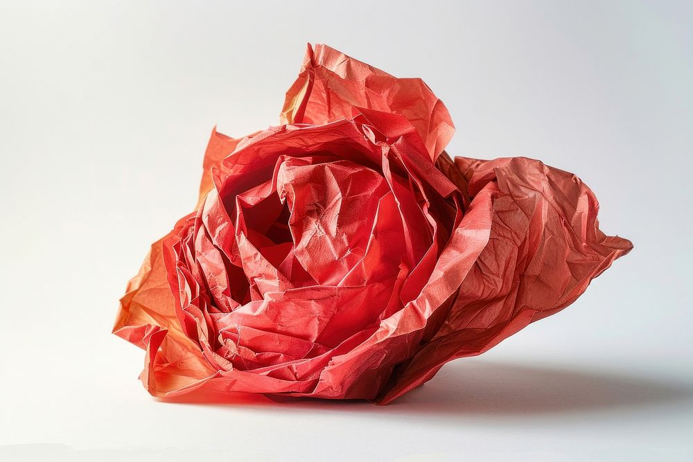 Rose style crumpled paper clothing | Free Photo - rawpixel