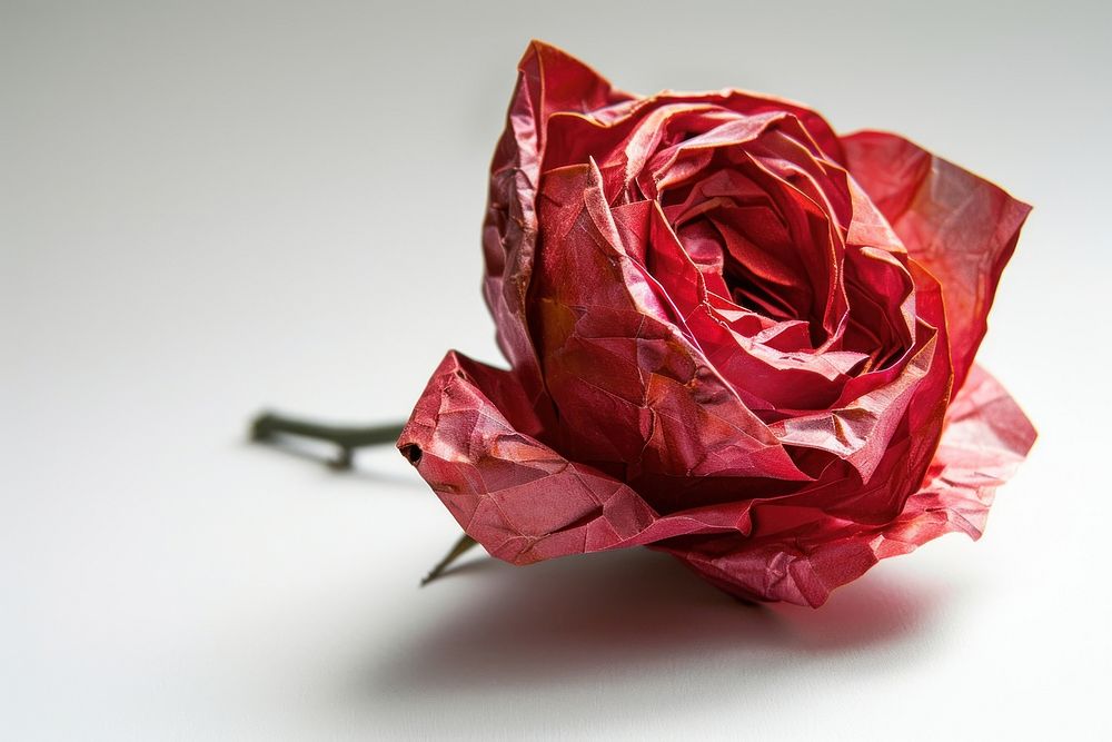 Rose style crumpled paper blossom | Premium Photo - rawpixel
