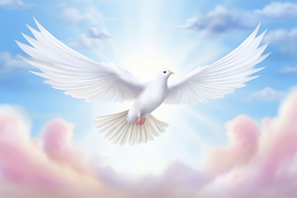 Dove border bird clouds white | Free Photo Illustration - rawpixel