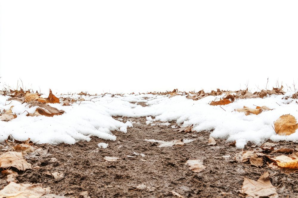 Winter real park dirt path | Free Photo - rawpixel