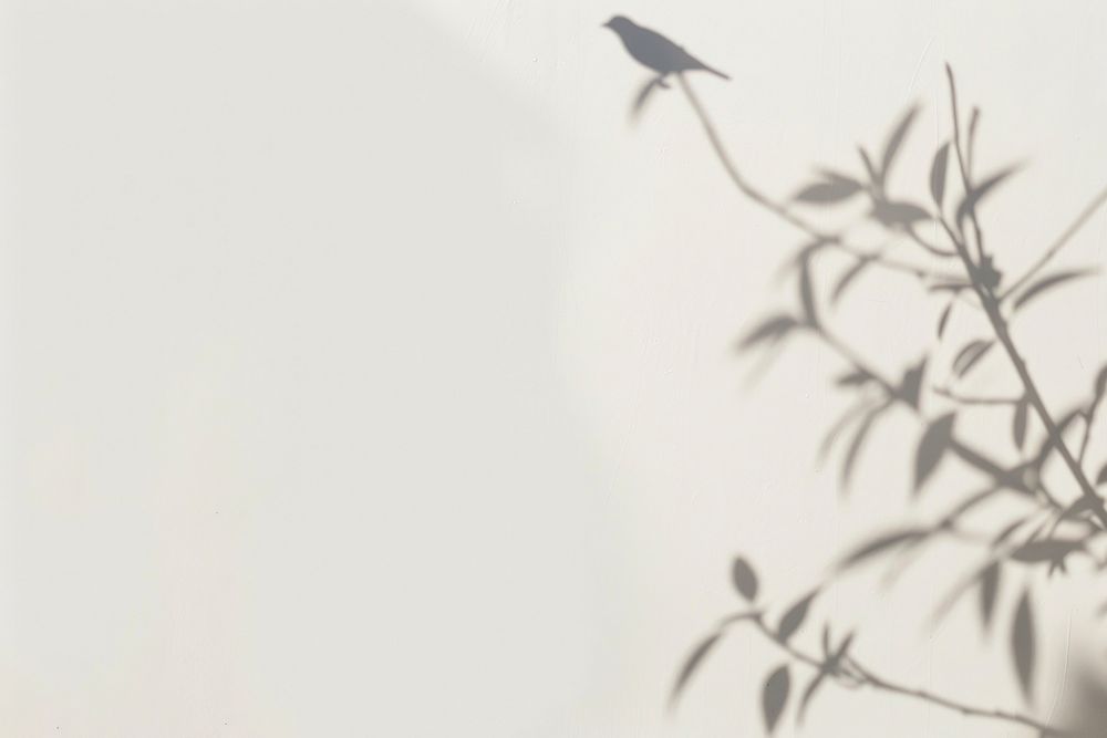Shadow flying bird minimalist nature | Free Photo - rawpixel