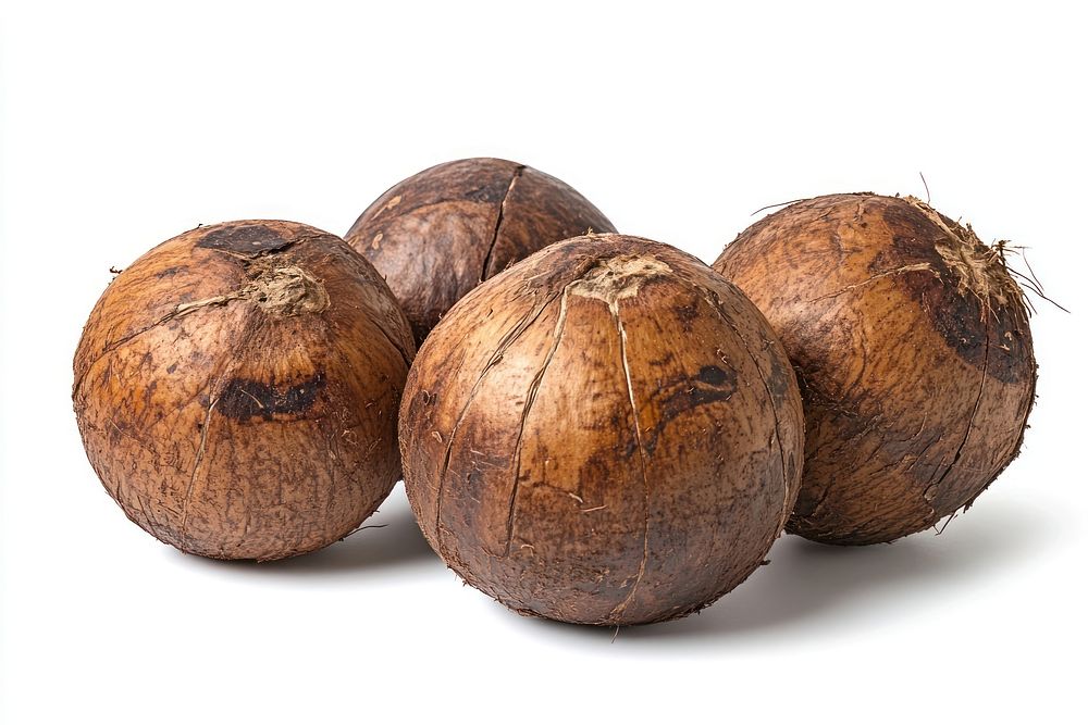 Coconuts coconut fruit food | Free Photo - rawpixel