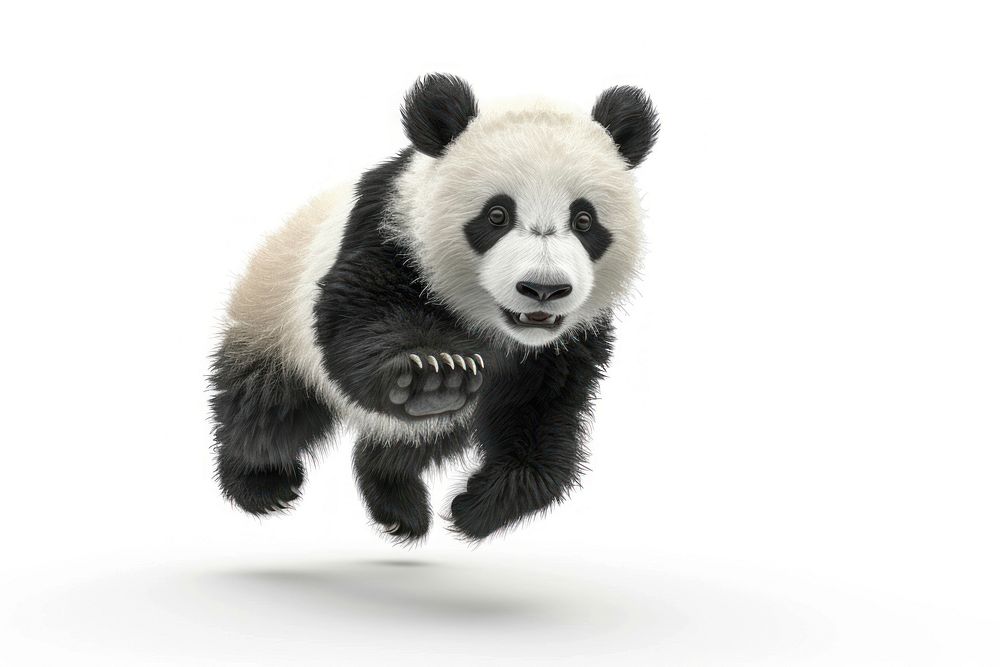 Panda bear running wildlife animal | Free Photo - rawpixel