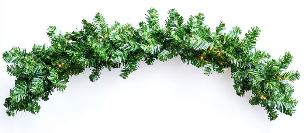 Christmas tree leaves christmas green | Free Photo - rawpixel