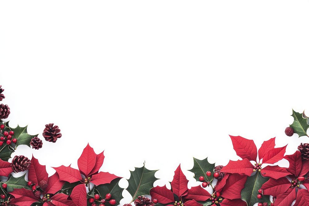 christmas red flower bottom border | Free Photo - rawpixel