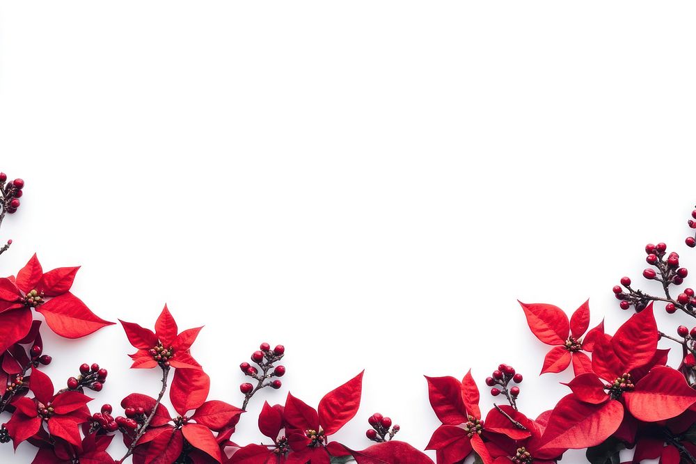 christmas red flower bottom border | Free Photo - rawpixel
