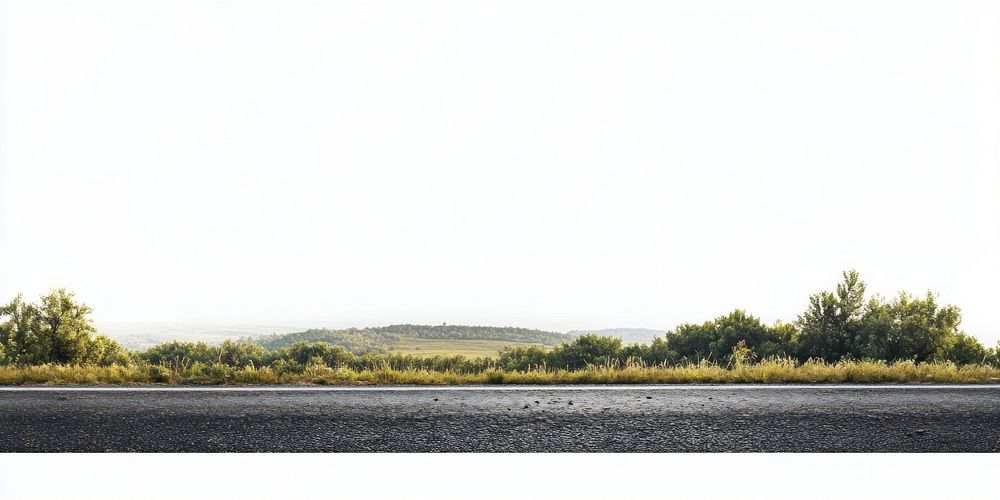 Real asphalt road trees landscape | Free Photo - rawpixel