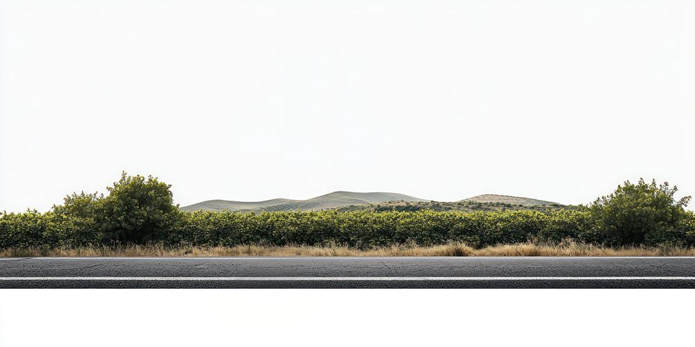 Real asphalt road trees countryside | Free Photo - rawpixel