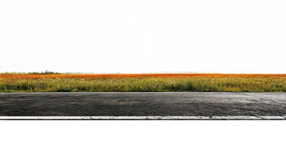 Real asphalt road landscape outdoors | Free Photo - rawpixel