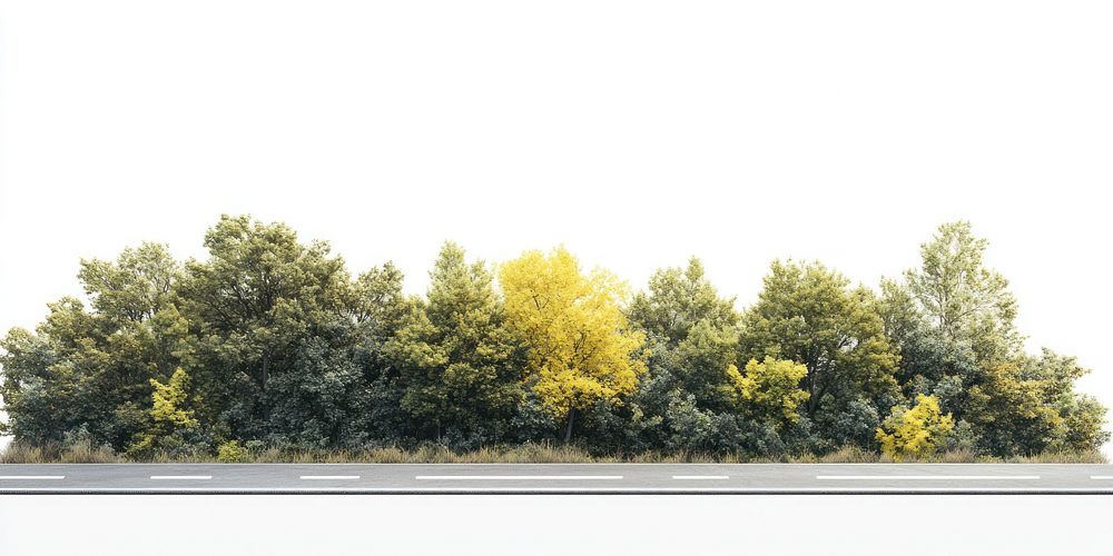 Real asphalt road trees landscape | Free Photo - rawpixel