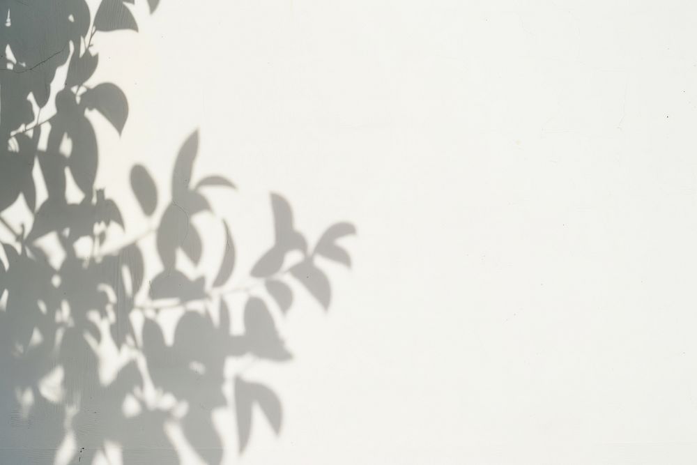 Shadow foliage leaves leaf wall | Free Photo - rawpixel