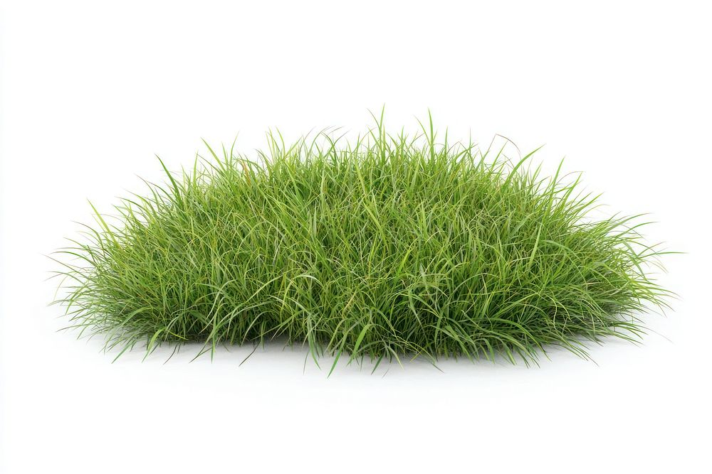 Bold green grass patch isolated | Free Photo - rawpixel