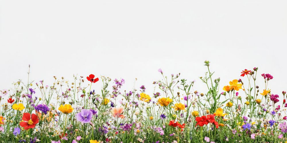 Foreground flower gardens and meadows | Free Photo - rawpixel