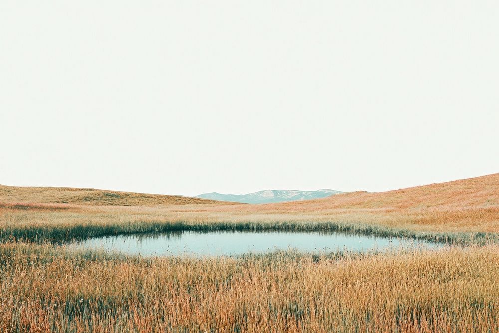 Lake border landscape outdoors scenery. | Free Photo - rawpixel