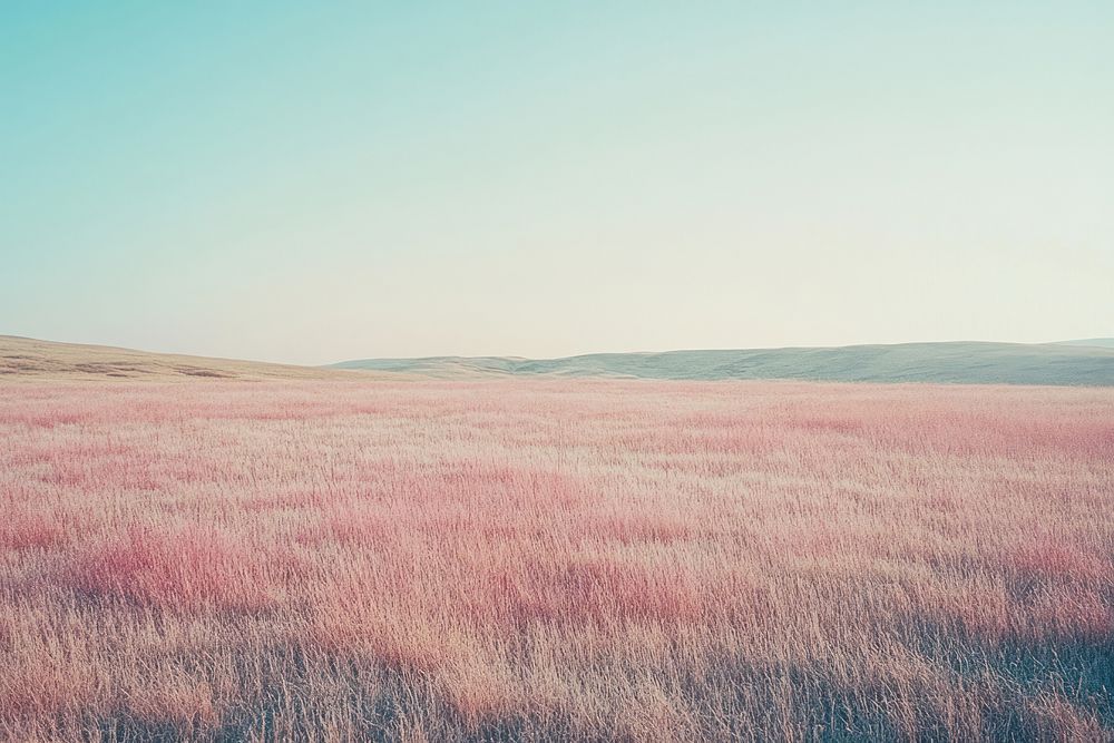 Grassland photography landscape outdoors. | Free Photo - rawpixel