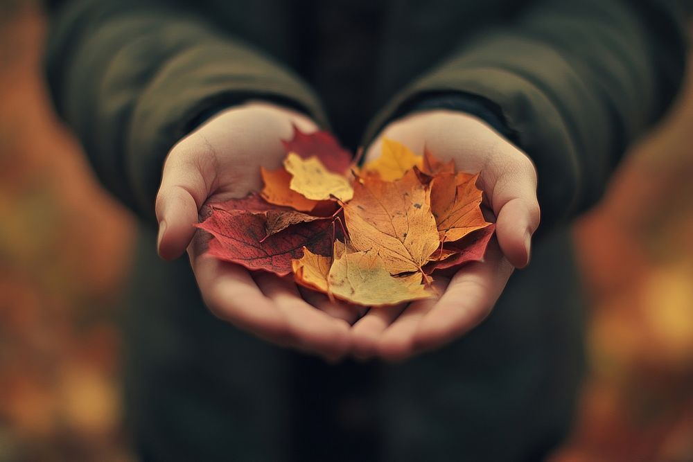 Leaves their hands leaf colorful | Free Photo - rawpixel
