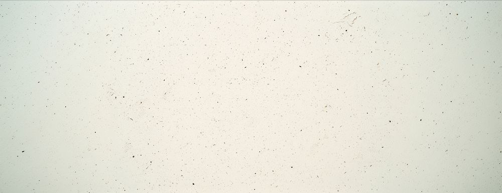 flat texture White cardboard background | Free Photo - rawpixel